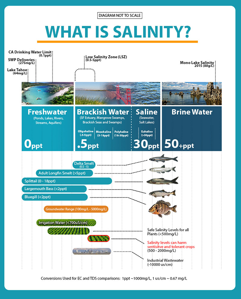 Salinity Levels In The Ocean